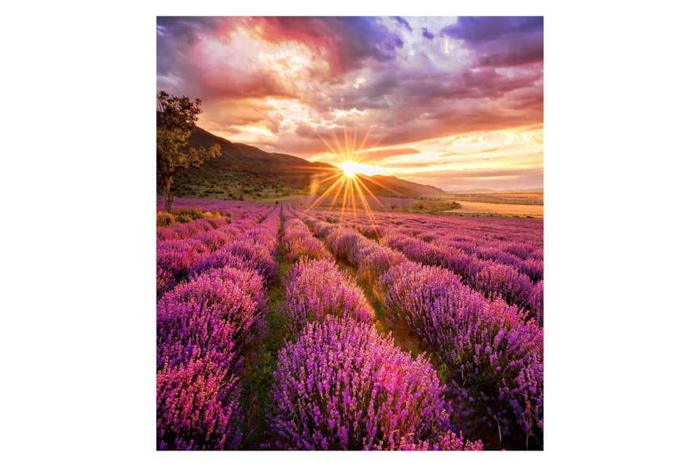 Samsung seria IFH - LED indoor - Telezimex